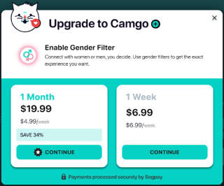 Camgo Review January 2026: Genuine Connections or Random Chats ...