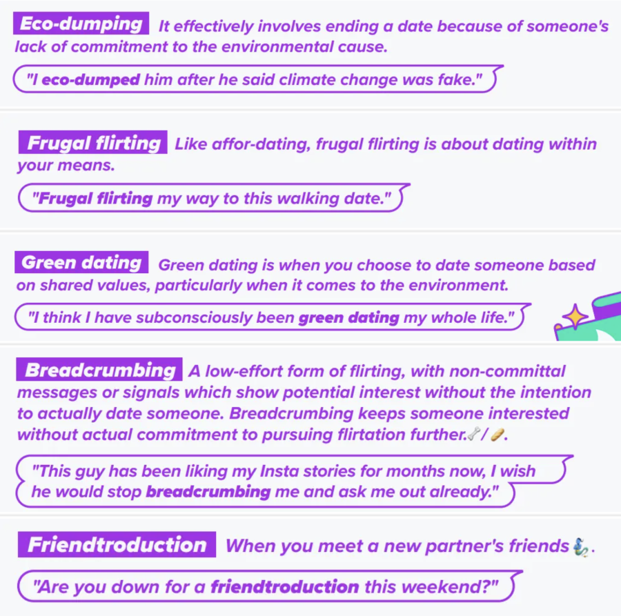 Tinder Lingo 101: Essential Dating Dictionary Terms - DatingScout